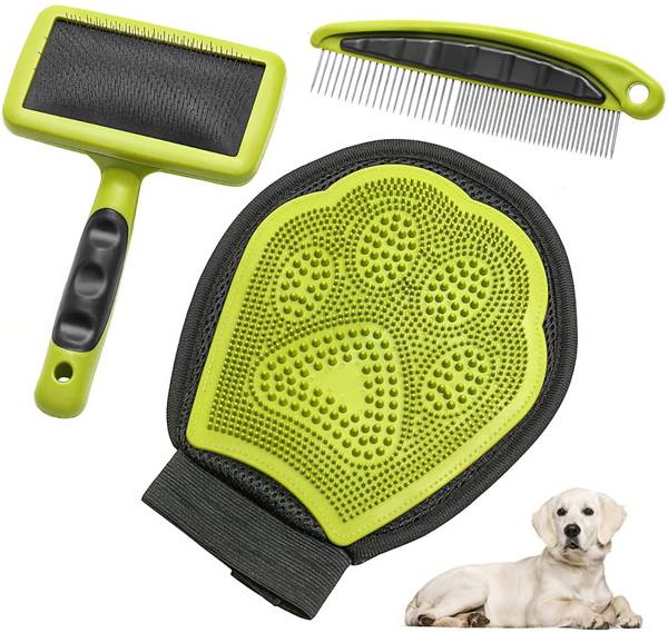 Hundeutstyr på nett - Gratis frakt over 700 kr - I Love Dogs.no